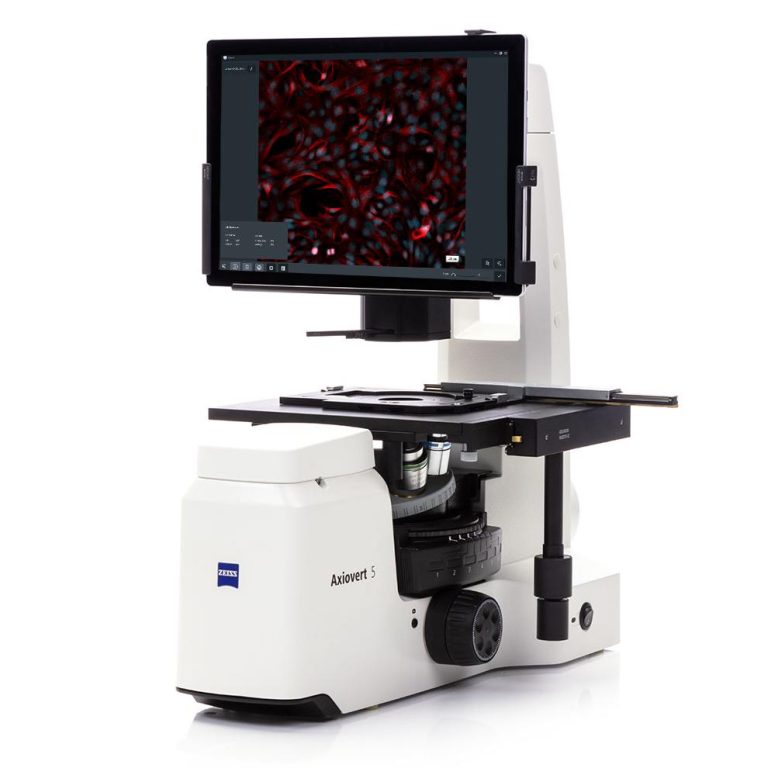 Zeiss digital microscope | MICRO MÉCANIQUE